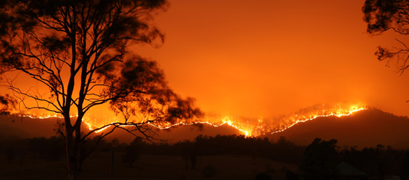 Forest Fire In India Rose Over Ten Times In Two Decades - Indian Flash