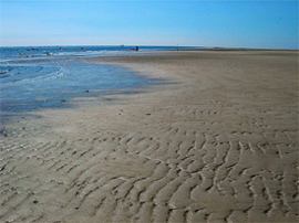 Cerberus Heat wave Grips Europe: Climate Change and Impact - Indian Flash