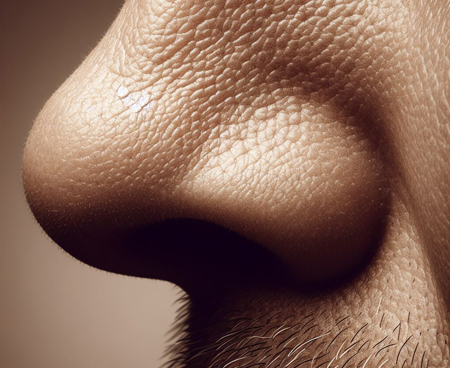 Intriguing Independence of Nostrils: Insights into Human Smell ...