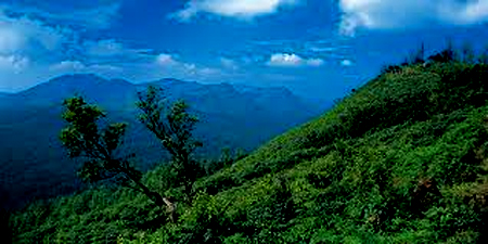 Kodagu; Nature's Symphony Meets Timeless Culture - Indian Flash
